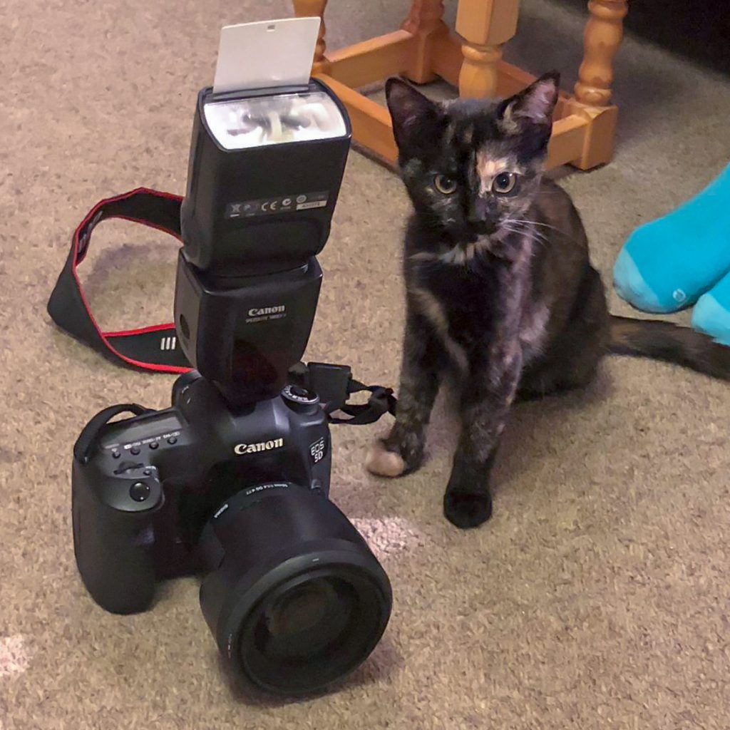 Fourteen! - Carla Louise | inspiring creativity, magic and life on your ...